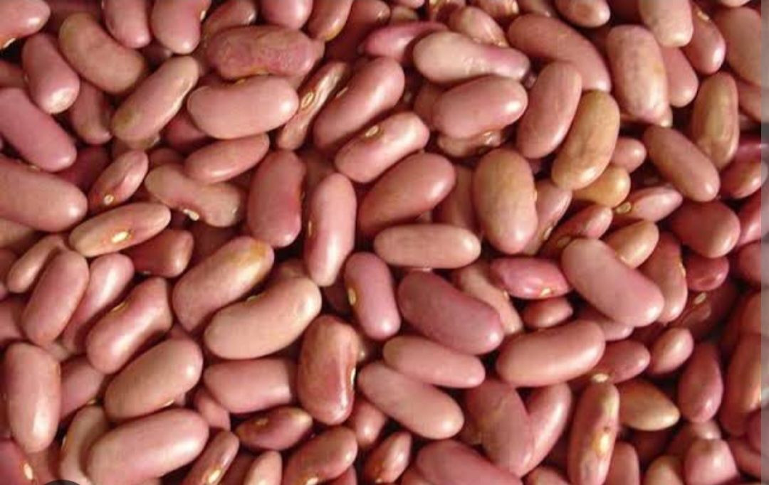 Buy Kidney Bean from Amanazina PLC, Ethiopia | Tradewheel.com