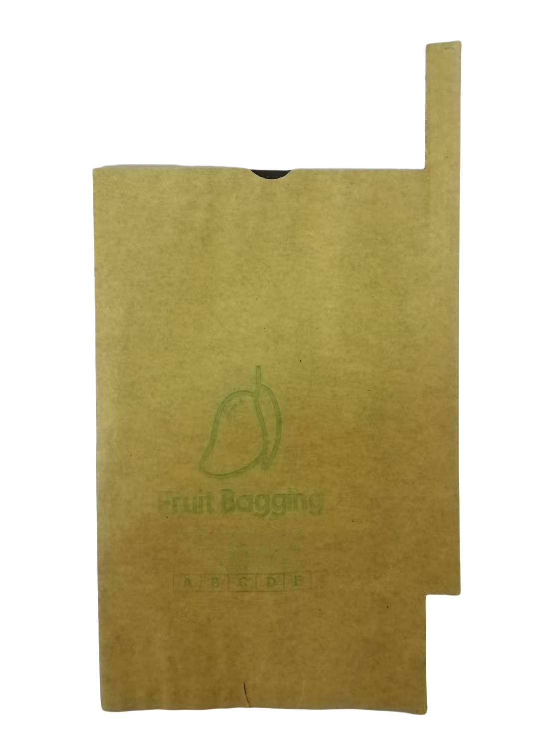 Buy Mango Protection Bags For Optimal Fruit Preservation from Jiangshan ...