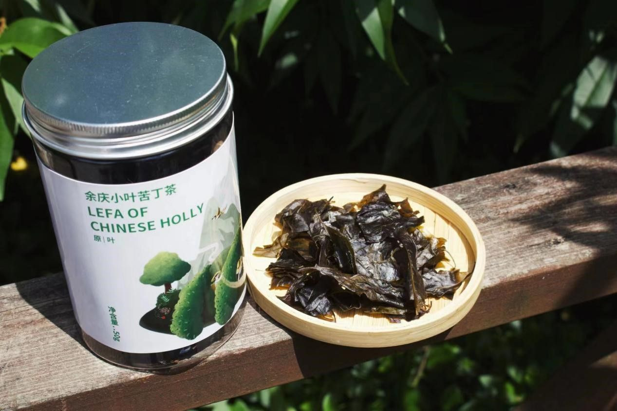 Buy Yuqing Small Leaf Kuding Tea from Hainan Zhengzun Trading Co., Ltd ...