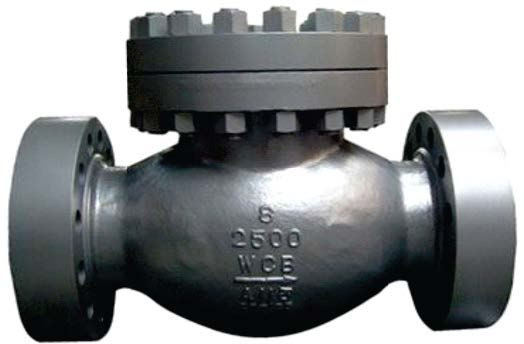 Buy Check Valve from Techpak Flow Controls, India | Tradewheel.com