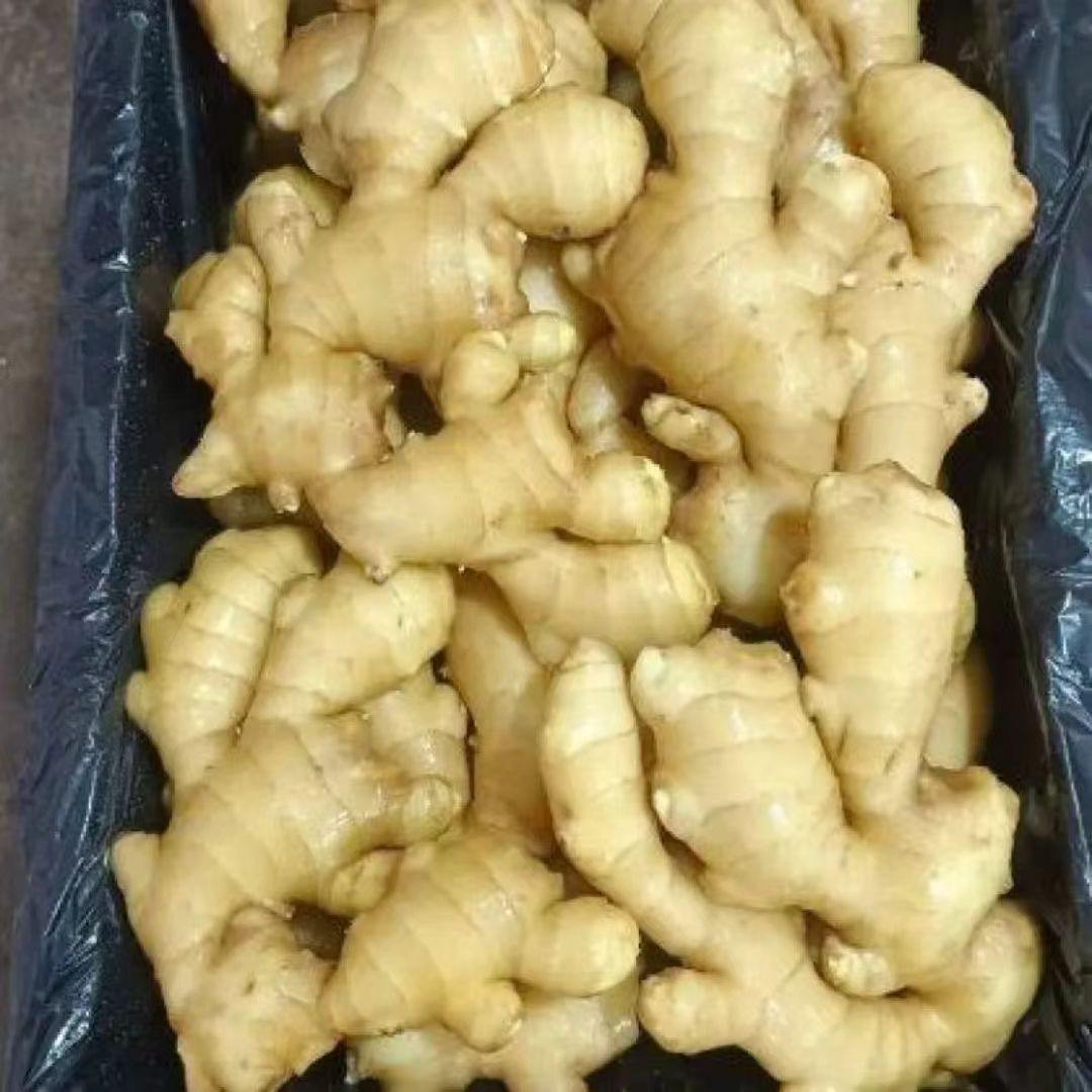 Buy High Grade, Aromatic And Nutrient Rich Fresh Golden Ginger from ...