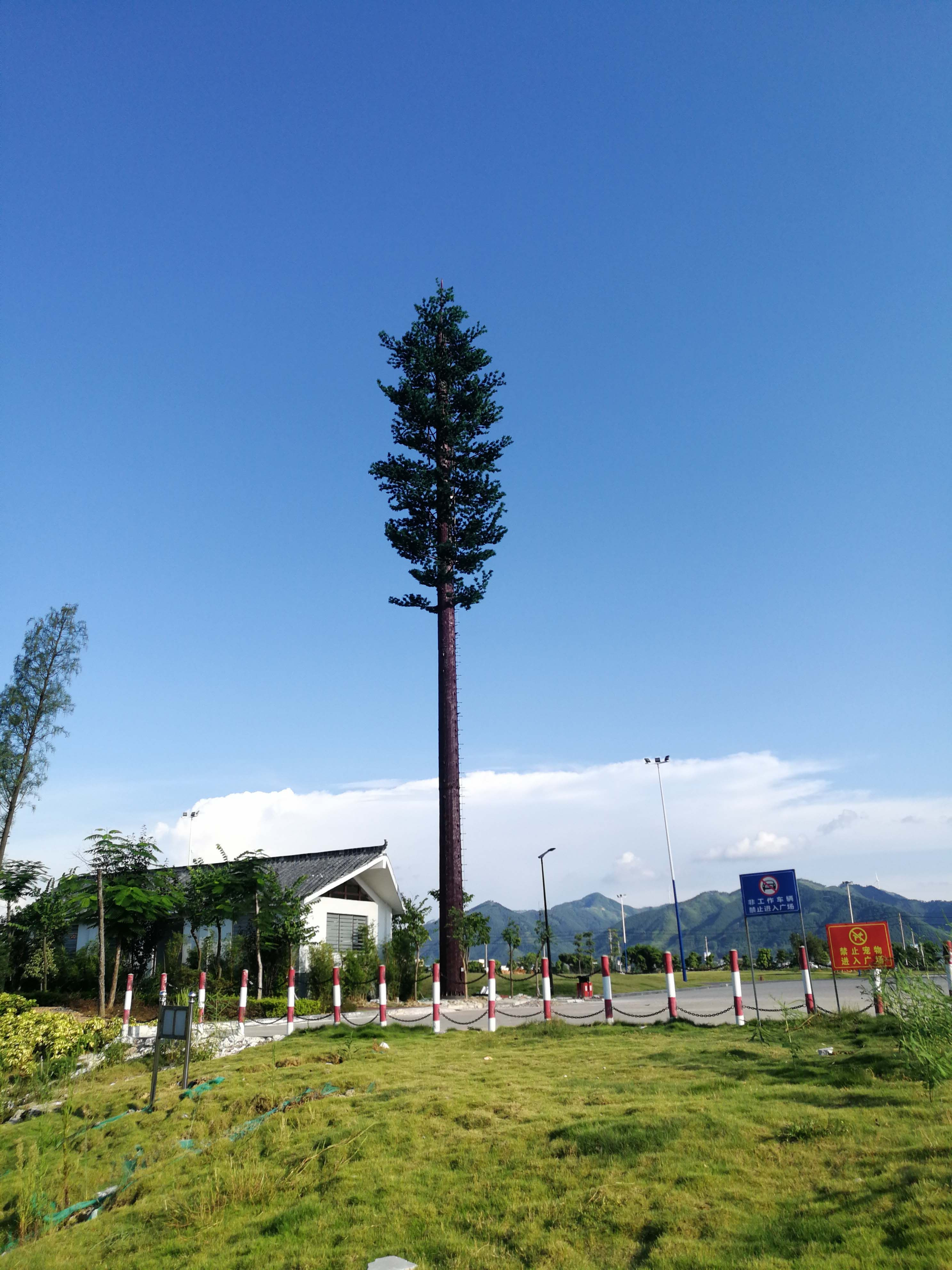 Buy Bionic Tree Camouflaged Tower from Hand-holder Ltd., China ...