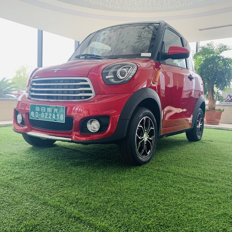 Buy 2 Seaters Newest Popular Chinese Mini Electric Car New Energy ...