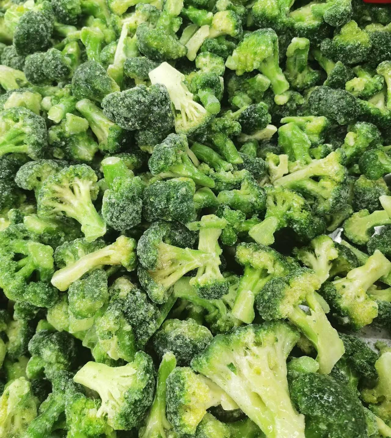 Buy Iqf Quick Frozen Broccoli from TAIAN LEADING, China | Tradewheel.com