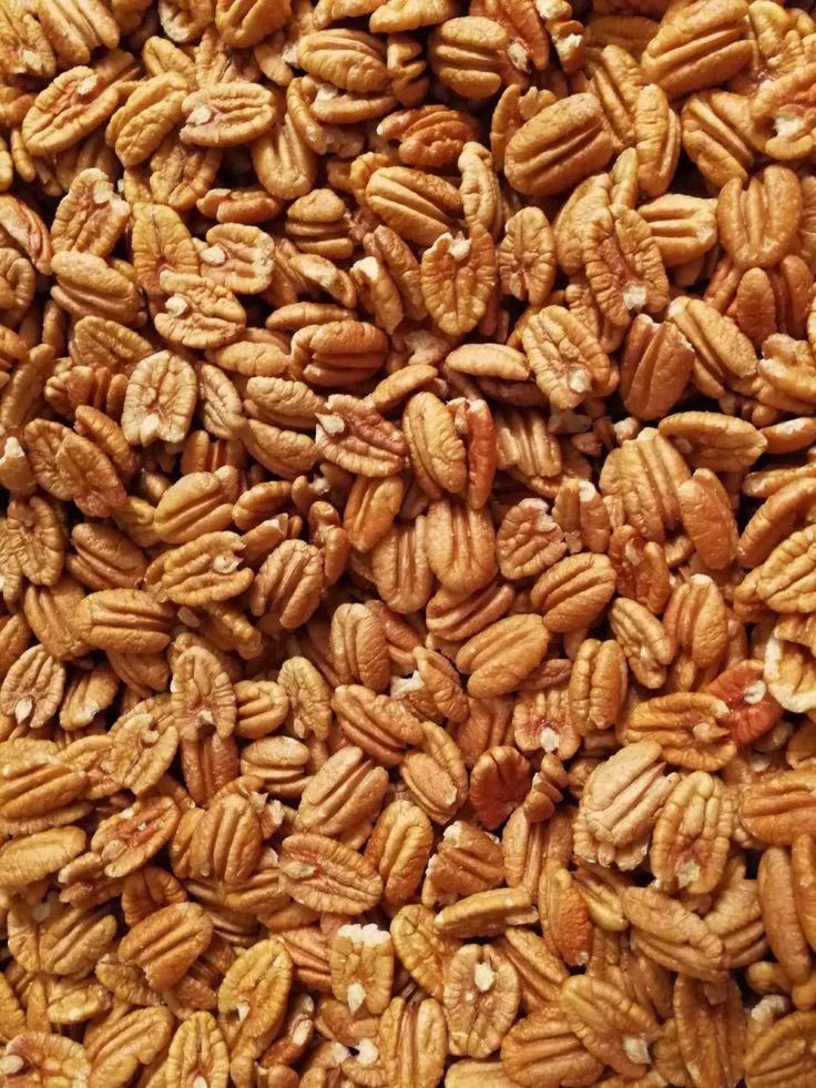 Buy Premium Quality Pecans - Raw, Roasted, And Bulk Supply from AGRO ...