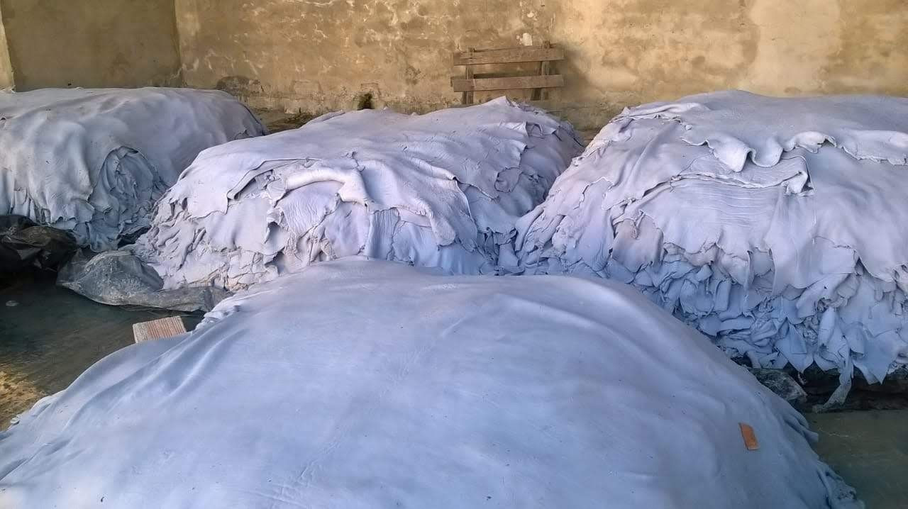 Buy Wet Blue Genuine Leather from MAGHREB LEATHER, Tunisia | Tradewheel.com