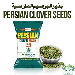 Buy Persian Clover Seed from Kohenoor International., Pakistan ...