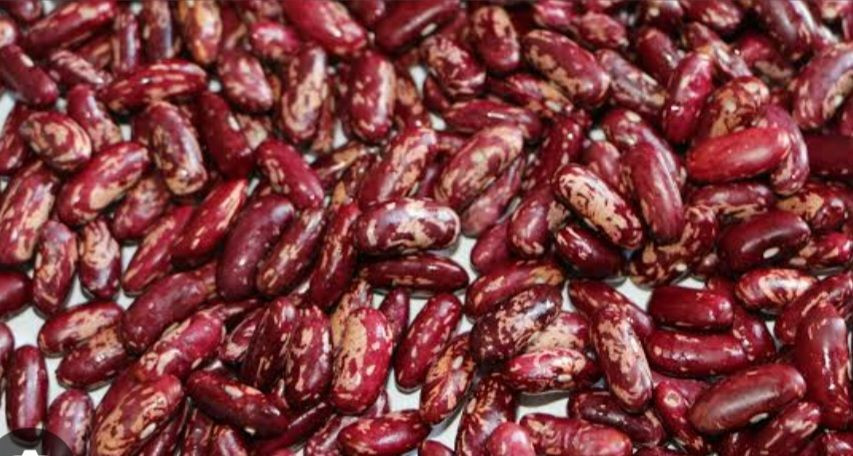 Buy Kidney Bean from Amanazina PLC, Ethiopia | Tradewheel.com