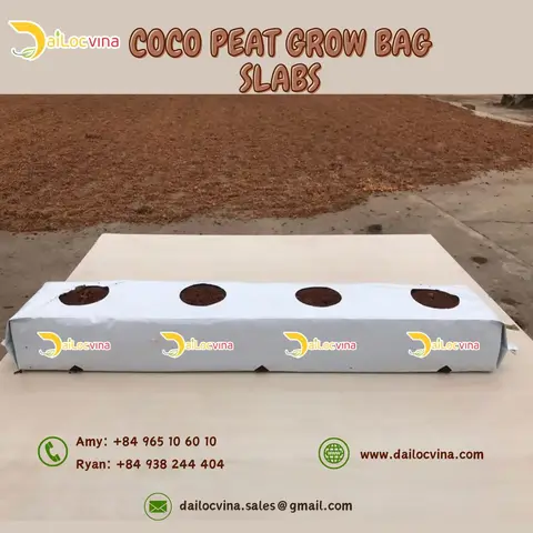 Buy Coco Peat Grow Bag Slabs Used For Growing Vegetable/ Strawberry ...