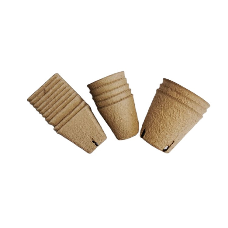 Buy Compostable Pulp Seedling Flower Pot Seeding Cup Seed Starting ...