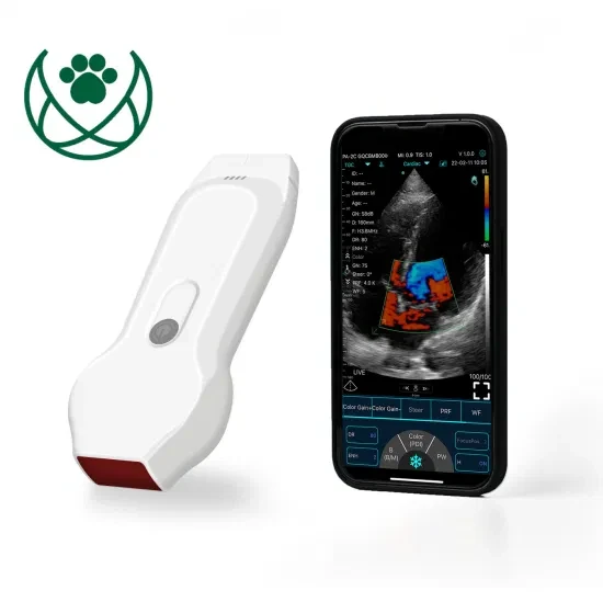 Buy Dual-probes Multipurpose Ultrasound Phased + Linear Probe For ...