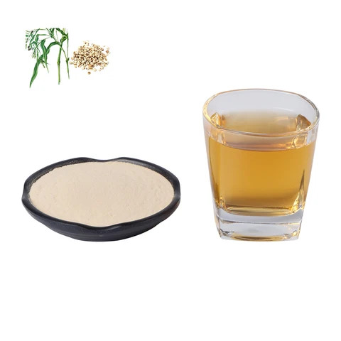 Buy Factory Price 1kg 10kg Plant Protein Coix Seed Extract Protein ...
