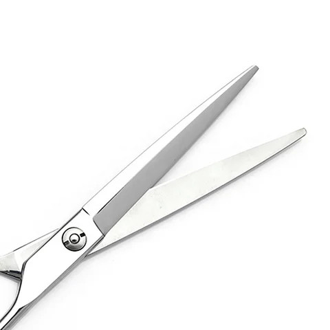 Buy Hc-0030 High-end Silver Hair Scissors 6 Inch Hair Cutting Scissors ...