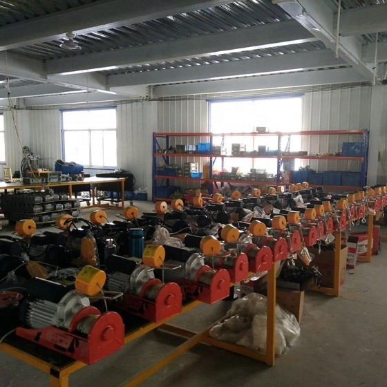 Buy High Quality 220v 100kg 200kg 300kg 500kg 1000kg Electric Wire Rope ...