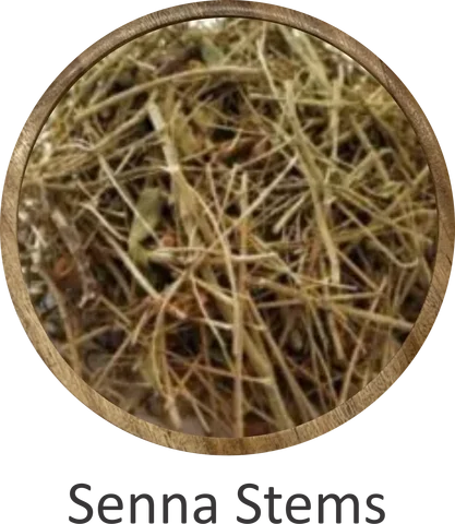 Buy Indian Exporters 100% Natural Senna Stems Powder Newly Selling Bulk ...