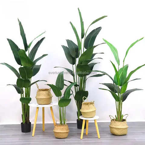 Buy New Style 90-210cm Bird Of Paradise Tree Plastic Leaf Small Large Potted Ornamental Indoor ...