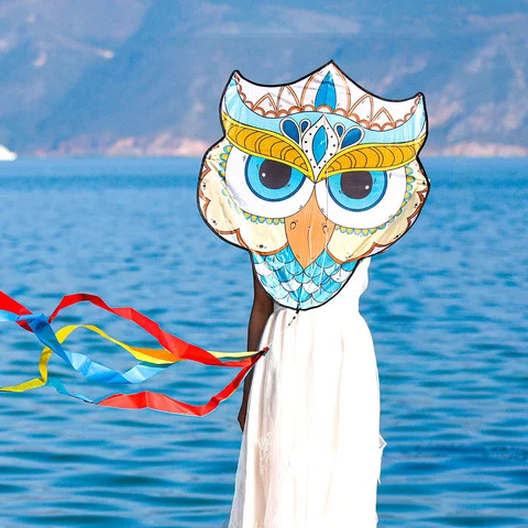 Buy Owl Kite New Design Model Polyester Kite Fiberglass Frame Flexible ...