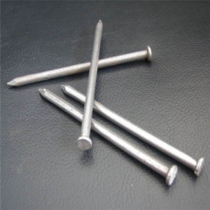 Buy Polished Common Nail, Common Iron Wire Nail With Best Quality from ...