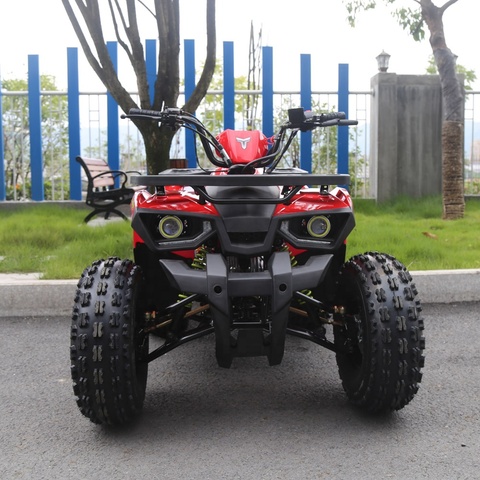 Buy Tao Motor Ata125-k1 Atv 125 Quad Atv 125cc Quad from Zhejiang ...