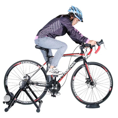 Buy Wf-qx-003akl Popular Cycling Training Roller Home Magetic Bike ...