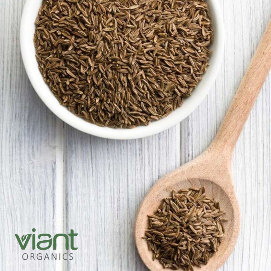 Buy Organic Cumin Powder (polvo De Comino Orgánico / مسحوق الكمون ...