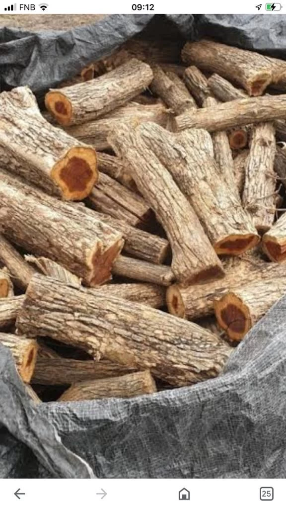 Buy Premium Quality Acacia (sekelbos) Firewood Logs from Lentistar ...