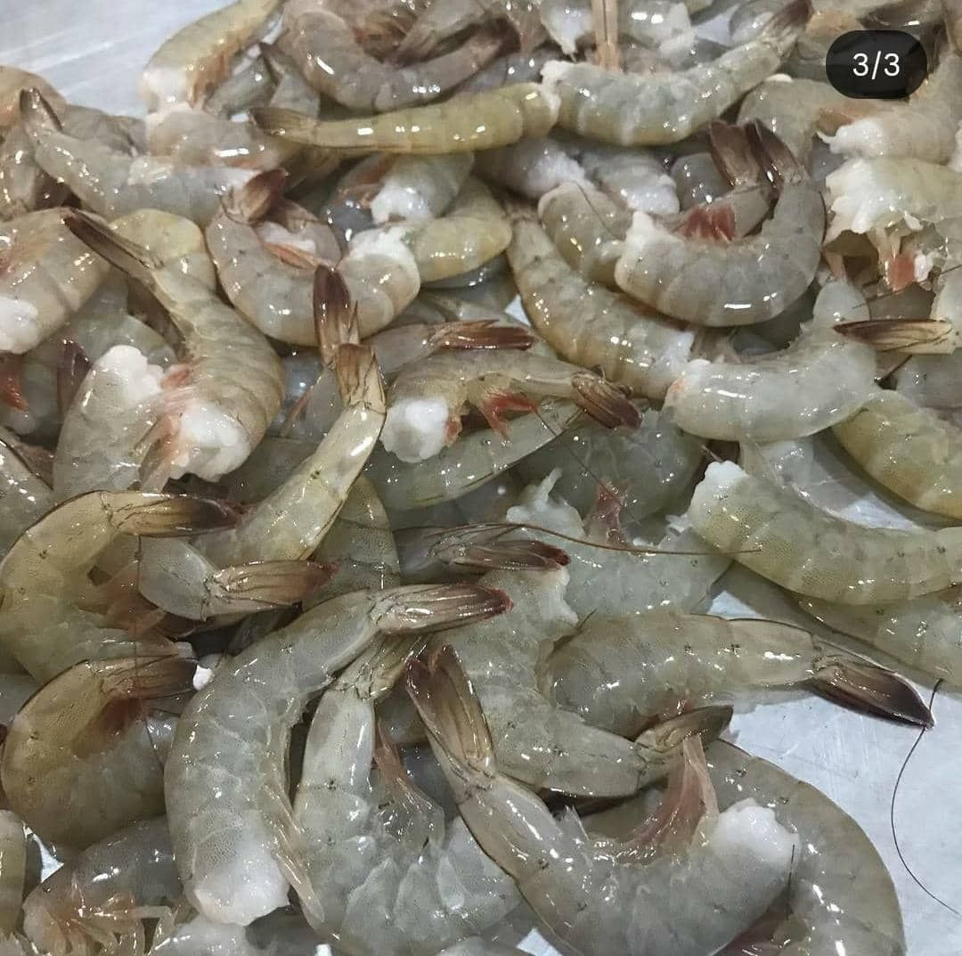 Buy Hlso Vannamei Shrimp from Dornika, Iran | Tradewheel.com
