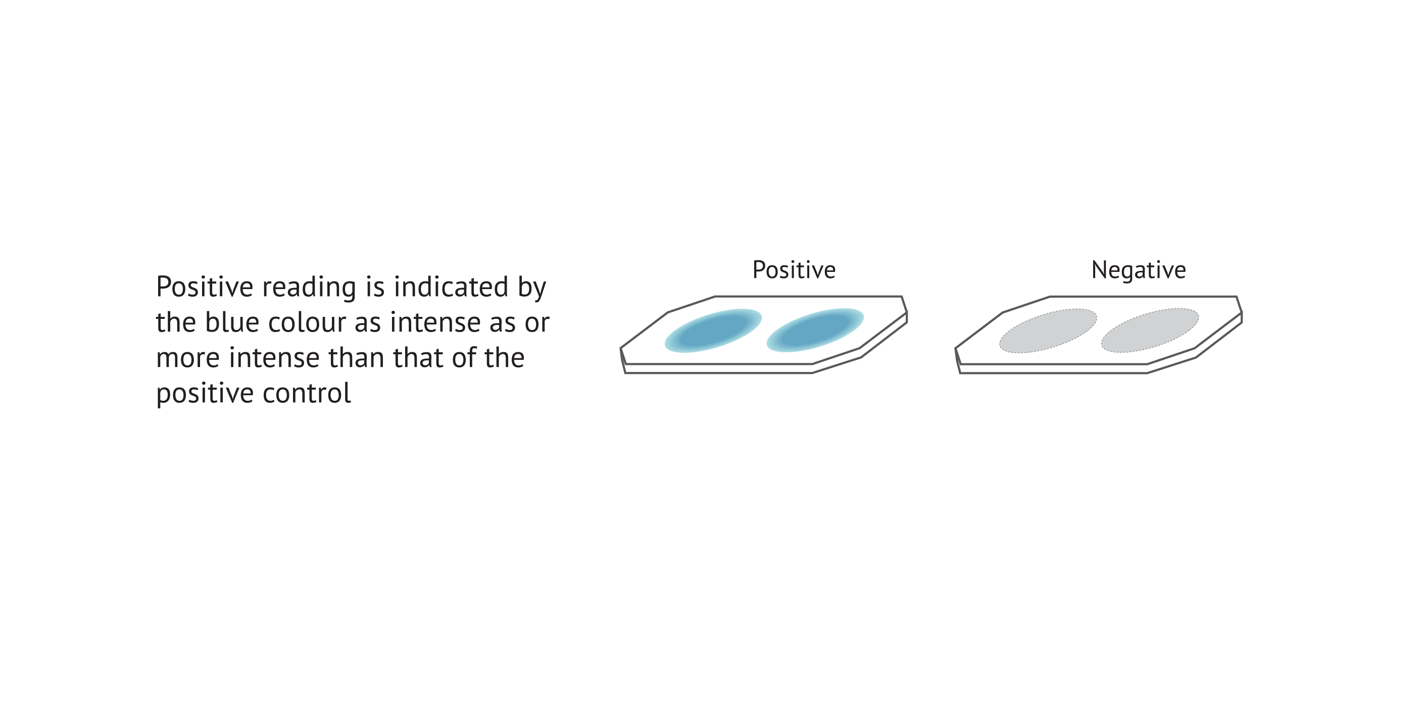 Buy Typhidot (typhoid Fever) Elisa Test Kits from Reszon Diagnostics ...