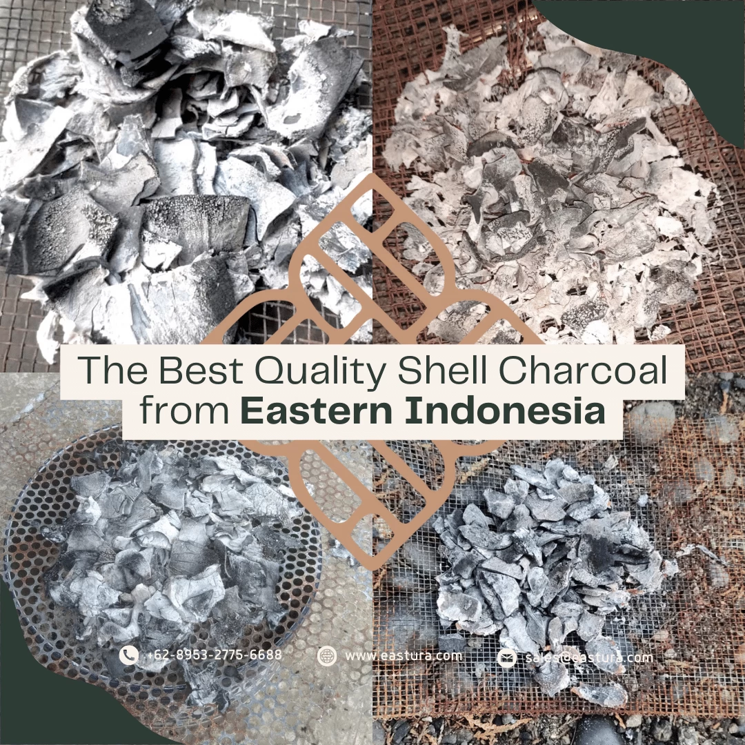 Buy Indonesian Coconut Shell Charcoal By Eastura from EASTURA Indonesia ...