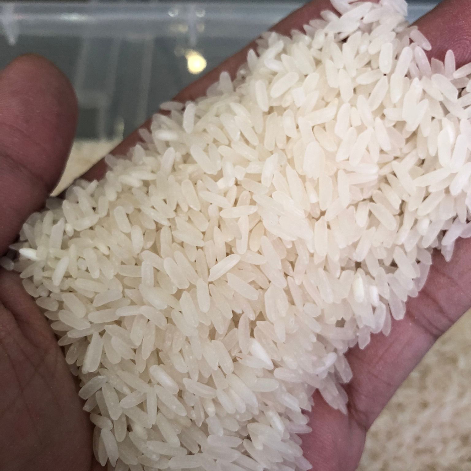 Buy Jasmine Rice Wholesale Fragrant Rice Private Label High Benefits ...