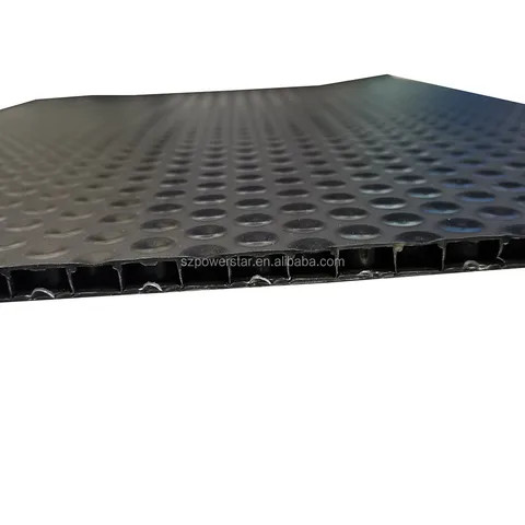 Buy Automotive Pp Corrugated Sheet Customize Polypropylene Honeycomb Sheet Polypropylene ...