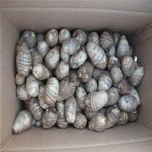 Buy Chinese Fresh Taro from Jining New Silk Road Food Co., Ltd., China ...