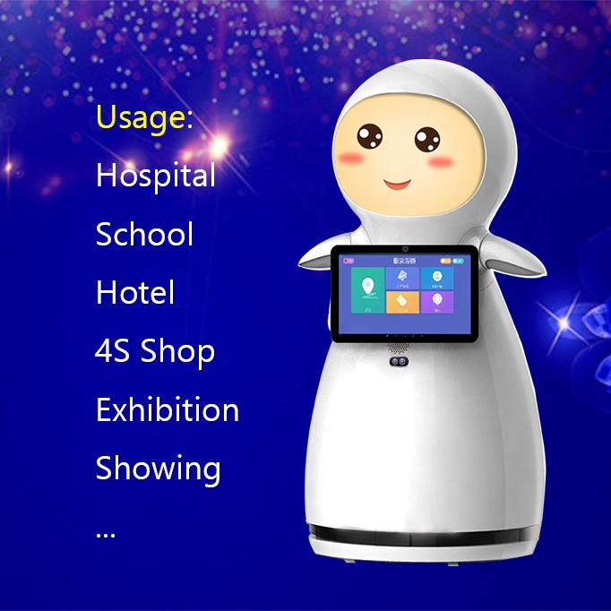 Buy Csjbot Snow School Programmable Welcome Talking Robot from Henan ...
