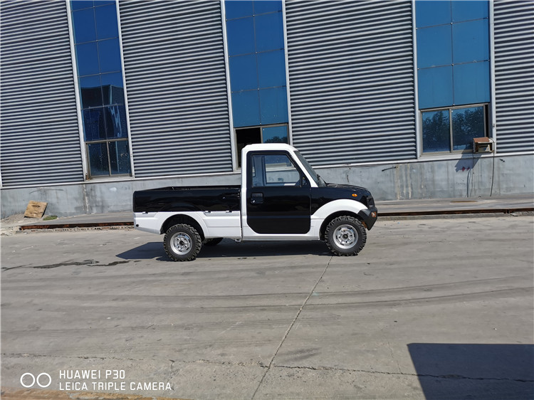 Buy Hot Pickup Mini 2 Seats Electric Pick Up Cargo Truck For Sale from ...