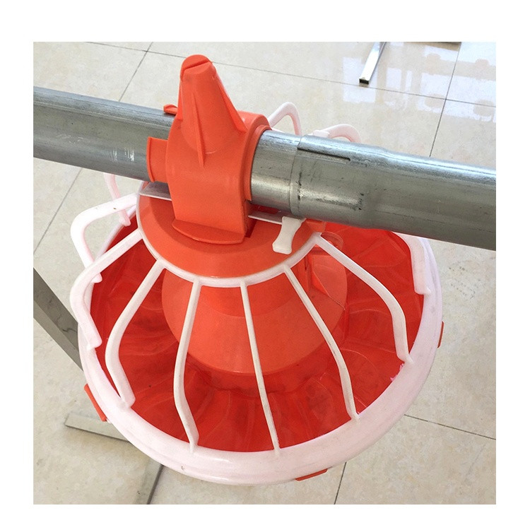 Buy Poultry Chain Feeding Live Chicken Poultry Feed Line Linear Feeder ...