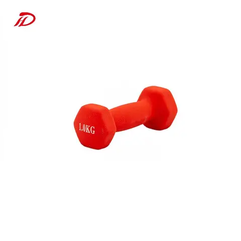 Buy Small Portable Dumbles Weight Lifting Exercise Yoga Cast Iron Hex ...