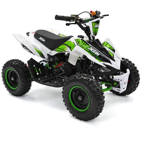 Buy Tao Motor Popular Cheap Chinese Atv Quad 49cc Quad Bike 2 Stroke ...