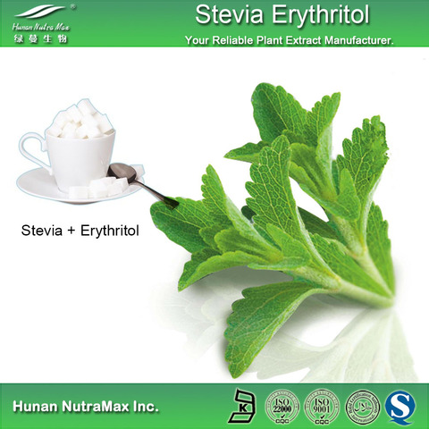 Buy Wholesale Organic 100% Natural Sweetner Plant Stevioside Stevia ...
