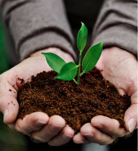 Buy High - Energy Fertilizer from Bio Dung Trading LLC, United Arab ...