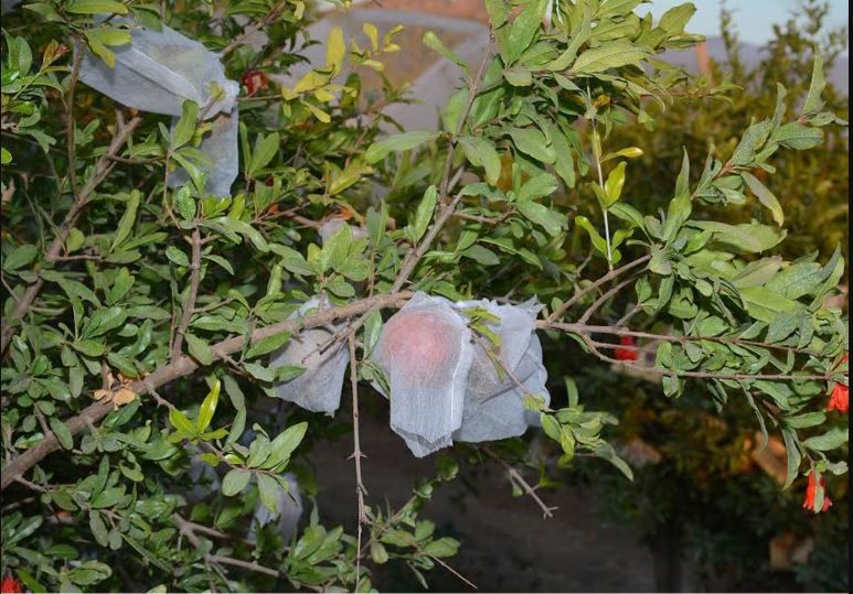 Buy Uv Treated Nonwoven Textiles from Uma Yarns and Fibres, India ...