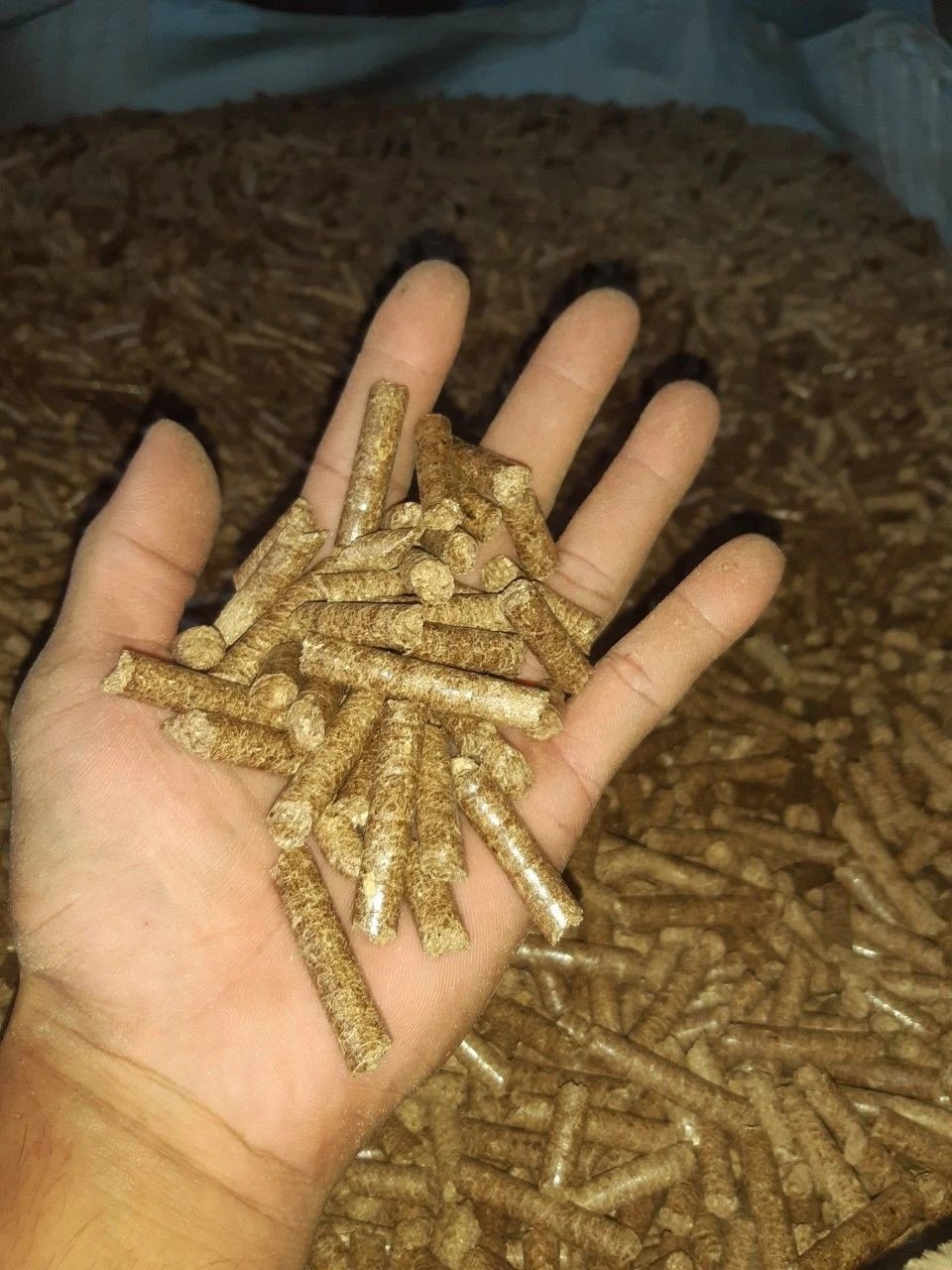 Buy Wood Pelet/efb Pelet from salt water, Indonesia | Tradewheel.com