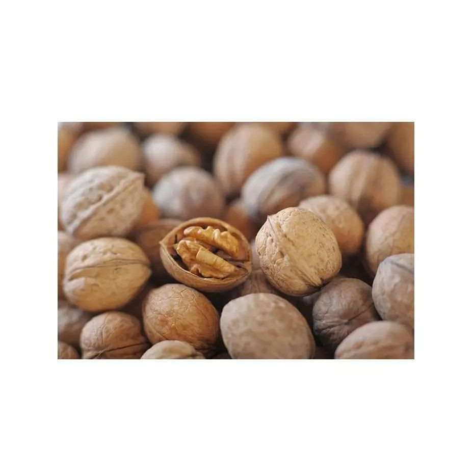 Buy Bulk Roasted Walnuts For Sale from Afrivet Trading Services, South ...
