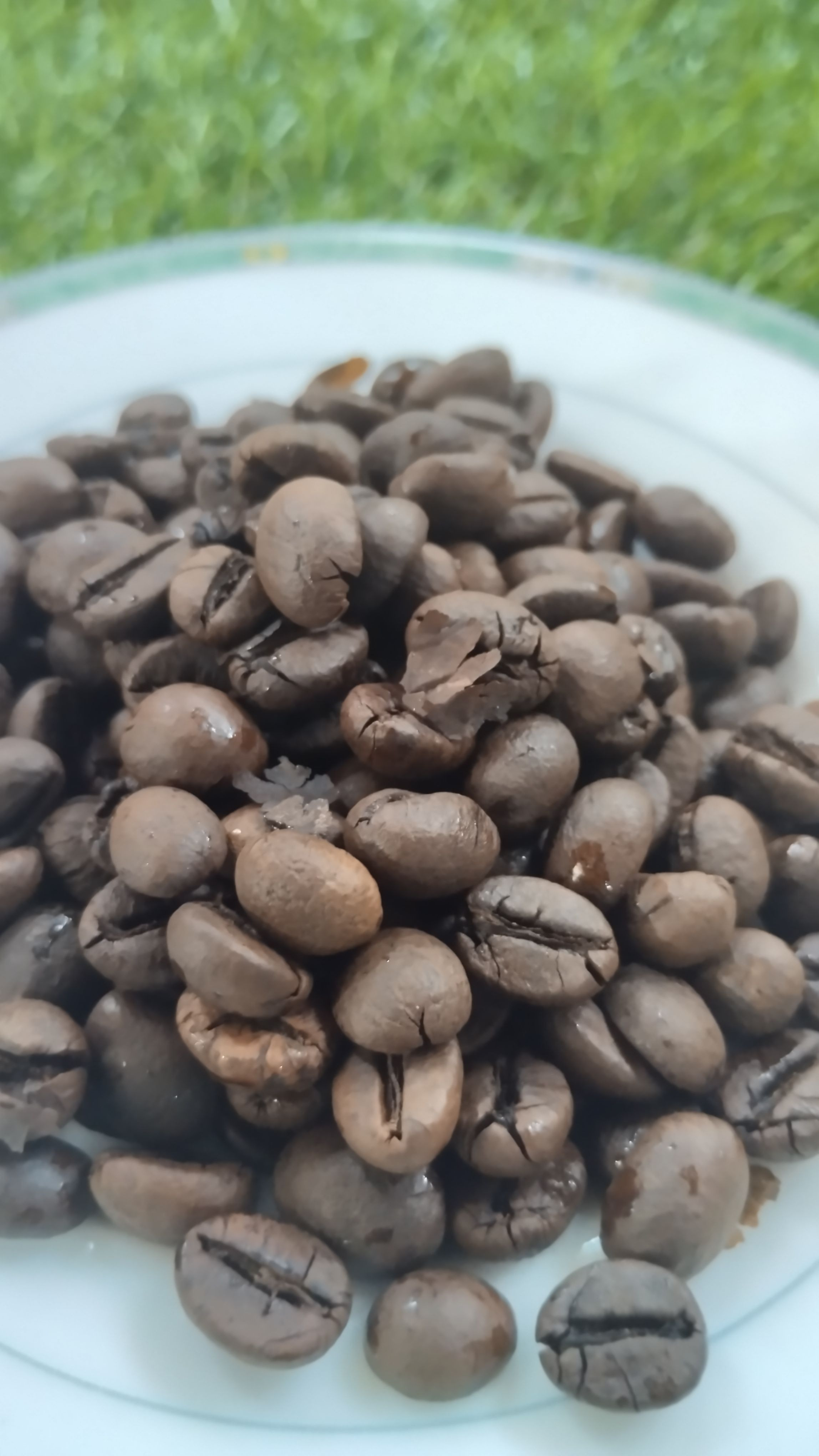 Buy Roasted Coffee Beans from PT. Cahyaning Bintang Agha, Indonesia | Tradewheel.com