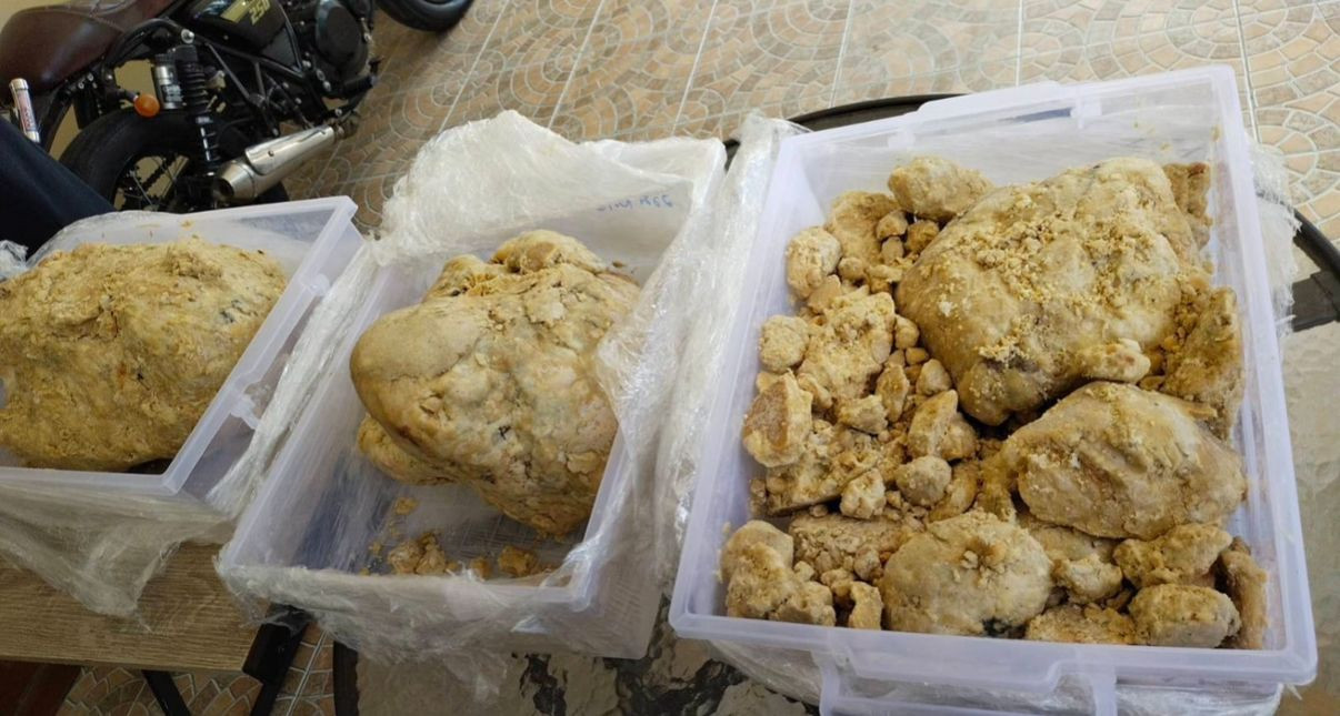 Buy Ambergris / Whale Vomit Different Grades Available from Ambergroup ...