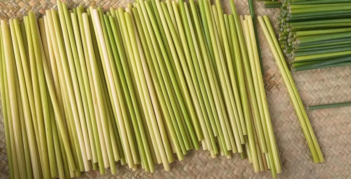 Buy Viet Kira Grass Drinking Straws from Viet Kira Co., Ltd, Vietnam ...