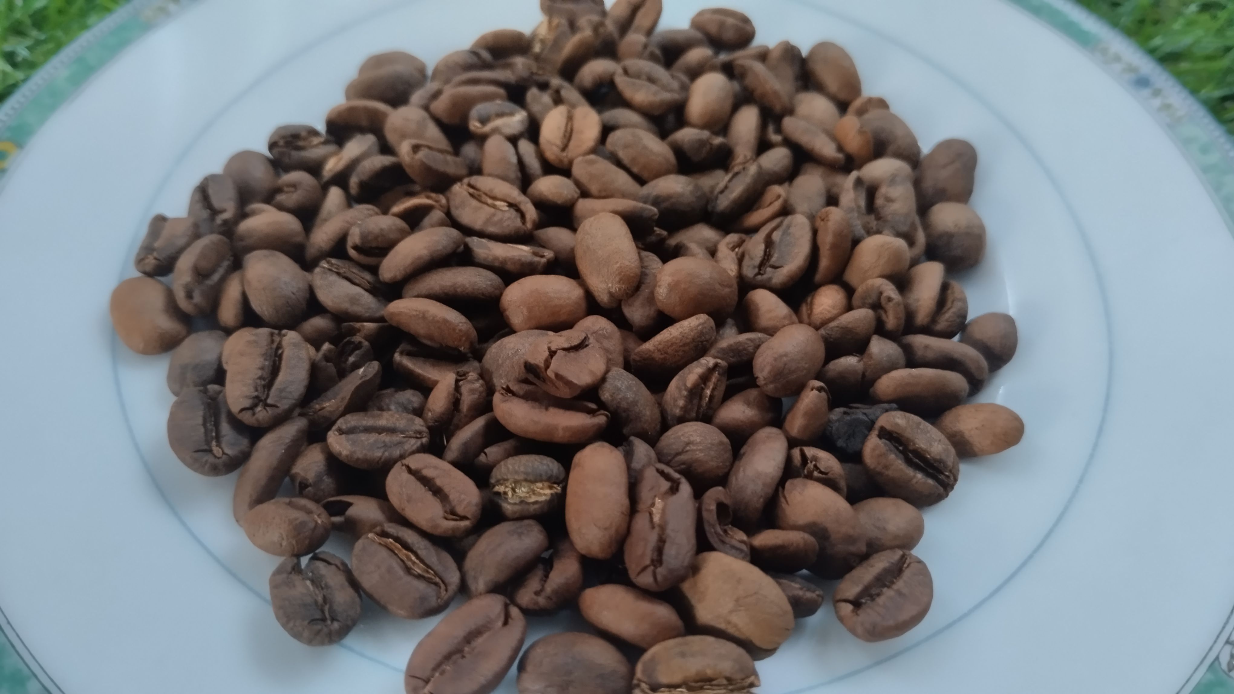 Buy Roasted Coffee Beans from PT. Cahyaning Bintang Agha, Indonesia | Tradewheel.com