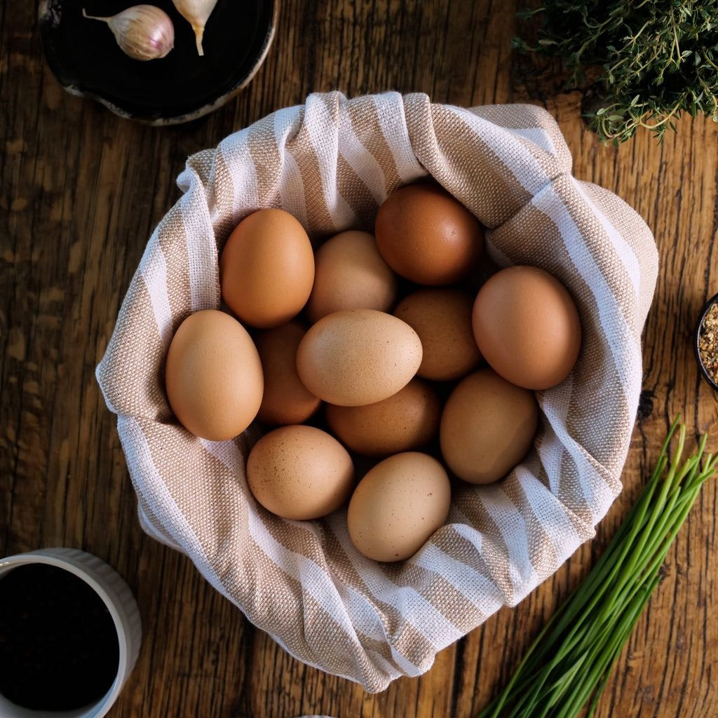 Buy Bulk Order Fresh Chicken Eggs Premium Quality Chicken Eggs From ...