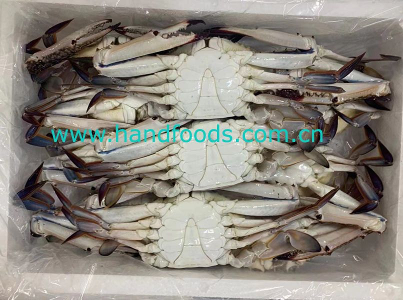 Buy Frozen Swimming Crab from Hand Foods (Dalian) Co., Ltd., China ...