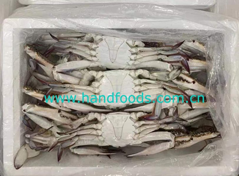 Buy Frozen Swimming Crab from Hand Foods (Dalian) Co., Ltd., China ...