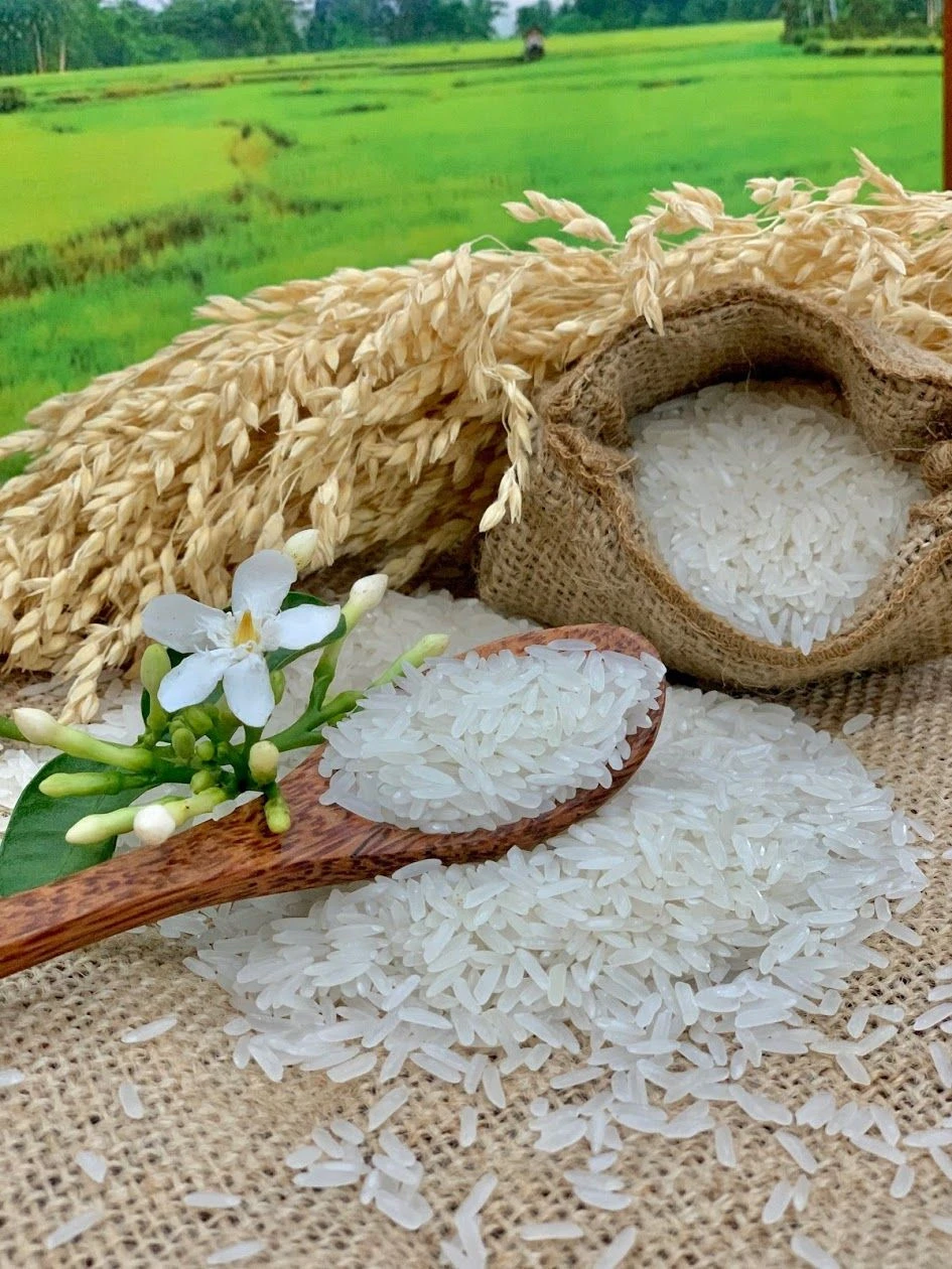Buy White Rice from Vilaconic, Vietnam | Tradewheel.com